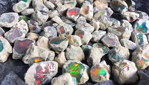 Fresh Opal - WELMENZ TRADING PLC